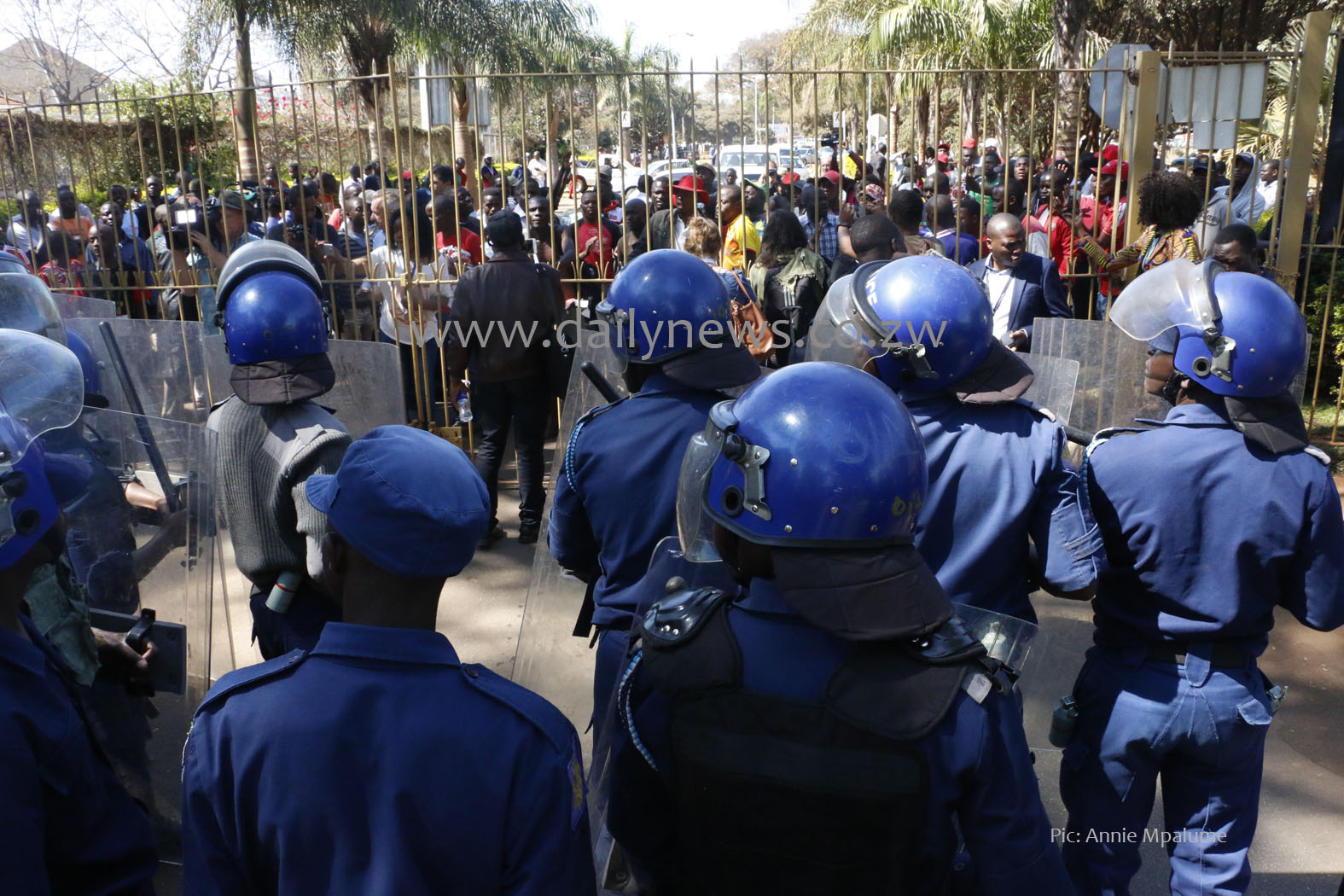 Zanu PF backers justify army use of deadly force – DailyNews