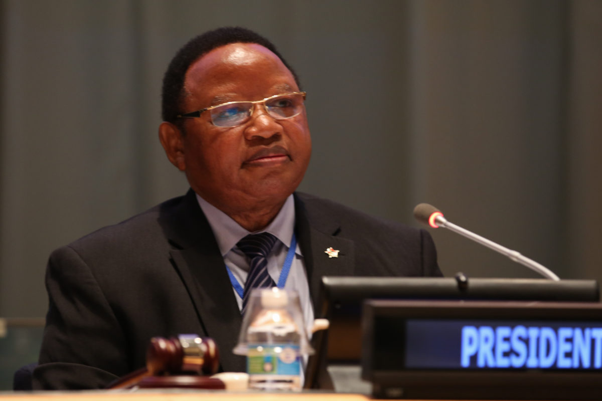 Mixed reaction to Shava’s selection… as some hail his Foreign minister ...