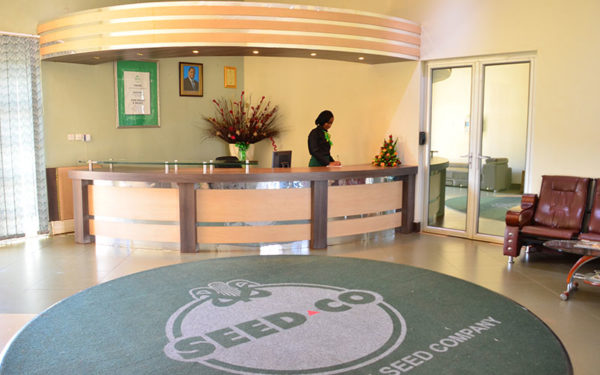 SeedCo produces new drought tolerant maize seeds – DailyNews