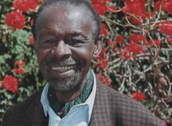 Late hero Chikerema’s estate up for inspection – DailyNews