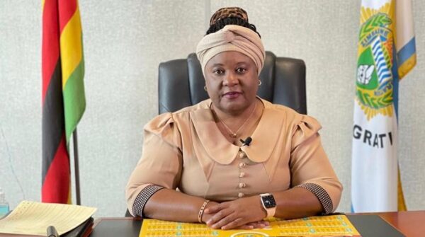 Zim partners with Interpol in borders control – DailyNews