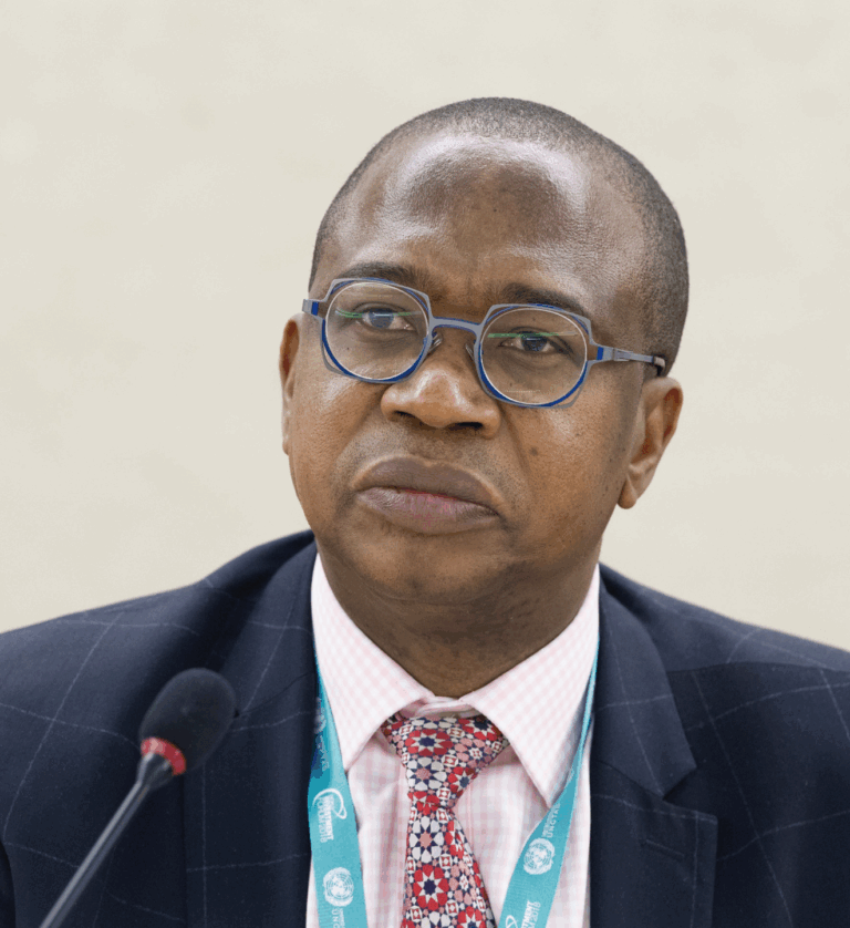 Zimbabwe seeks Asian infrastructure bank funds – DailyNews